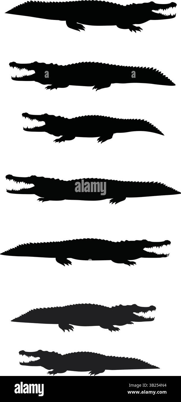 Alligator Silhouette Vector Set: Black Alligators for Design Projects ...