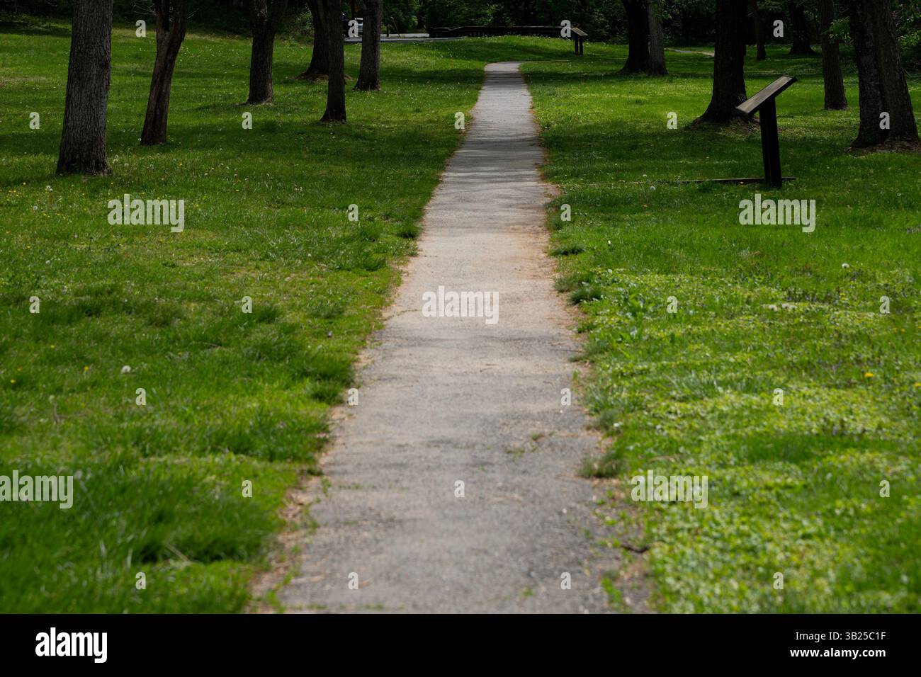 Long narrow path of trees hi-res stock photography and images - Alamy