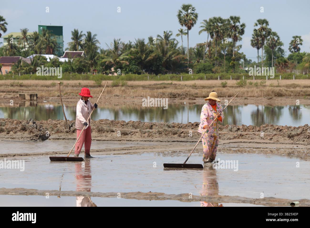Sea Salt Farmers harvesting Salt Stock Photo - Alamy