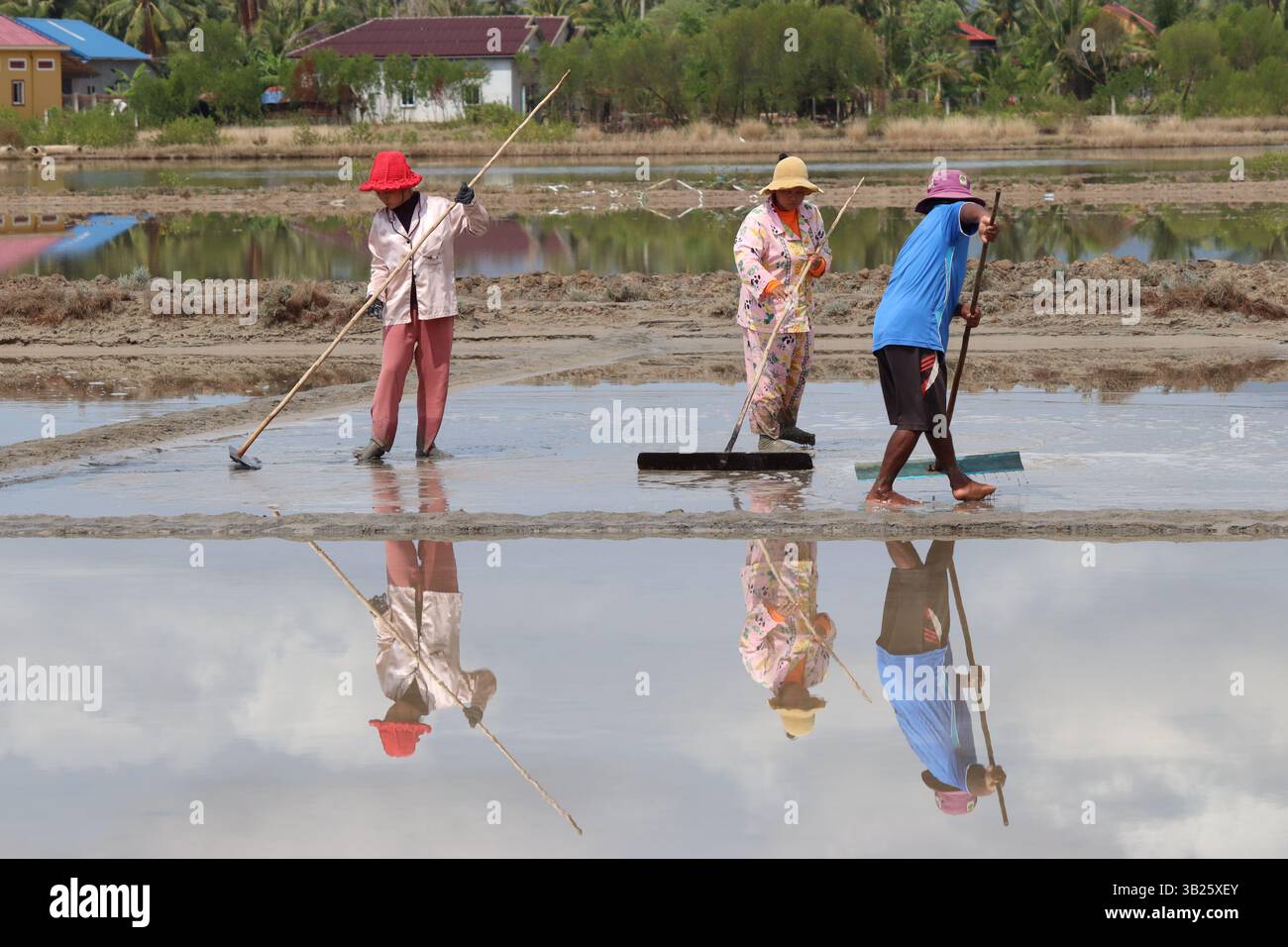 Sea Salt Farmers harvesting Salt Stock Photo - Alamy