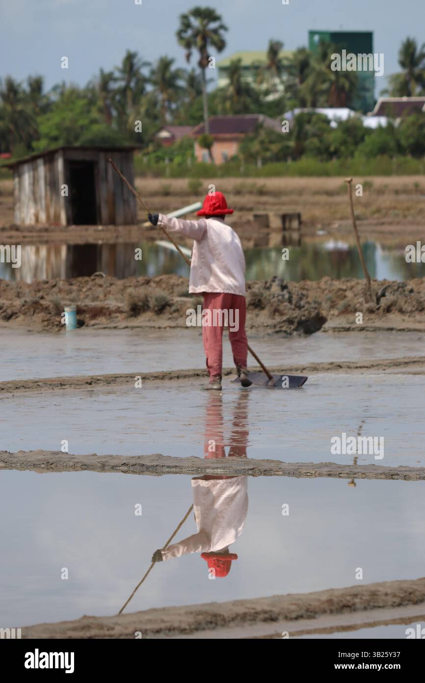 Sea Salt Farmers harvesting Salt Stock Photo - Alamy