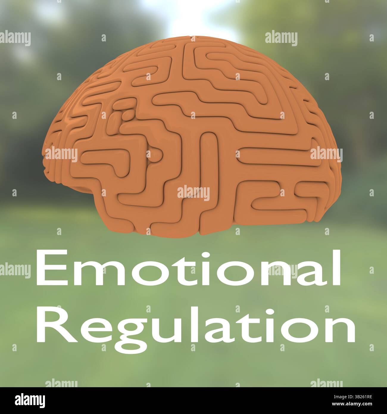 3D illustration of a human brain, titled Emotional Regulation Stock ...