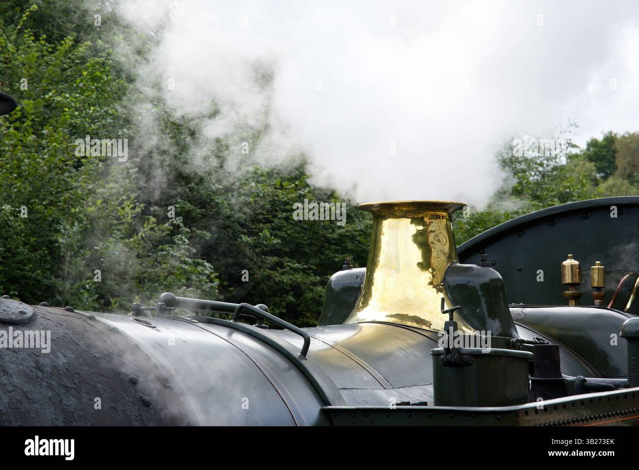 Steam pouring out of the gold funnel of the 5541 steam locomotive at ...