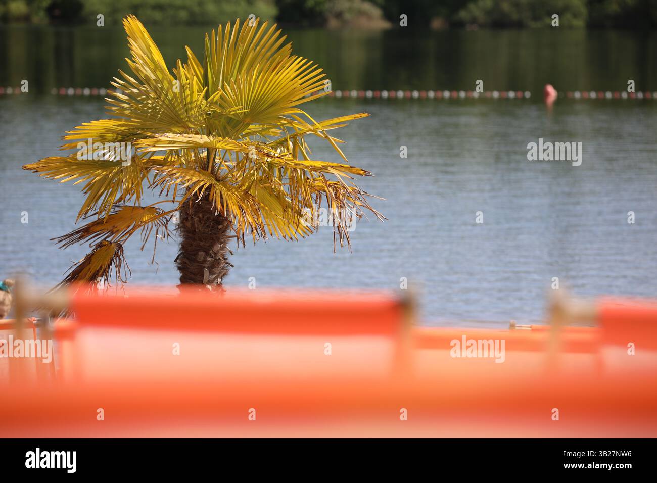 27 April 2025, North Rhine-Westphalia, Hürth: View of Lake Otto Maigler ...