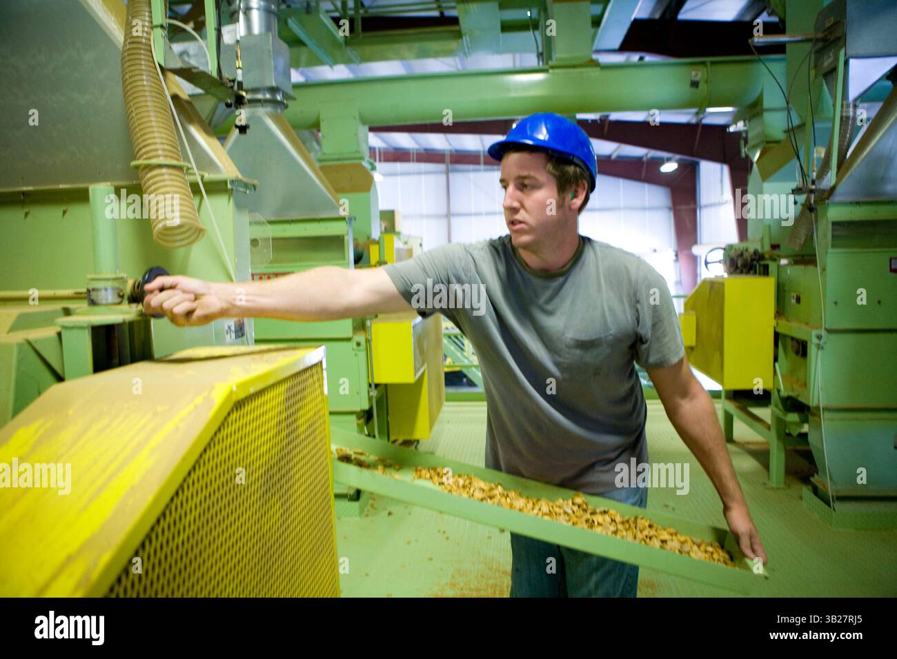 Alison peters hi-res stock photography and images - Alamy