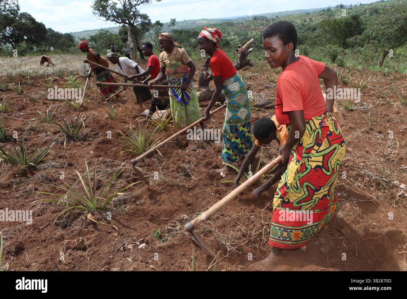 Image source woman africa hi-res stock photography and images - Alamy