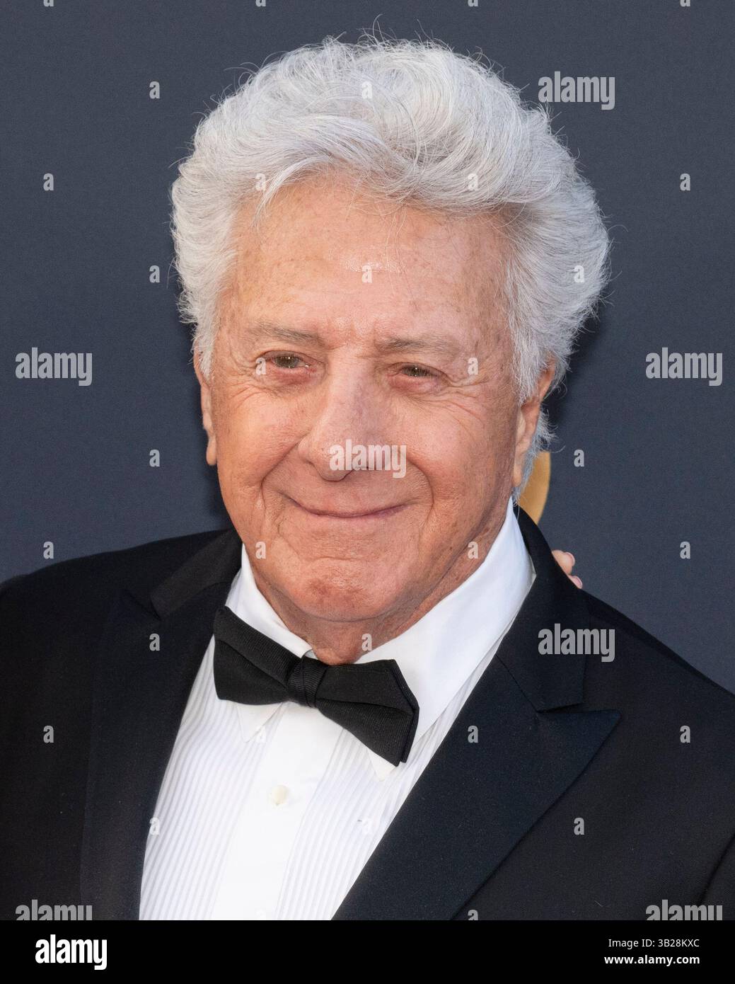 Hollywood, California, USA. 26th Apr, 2025. Dustin Hoffman. AFI Life ...