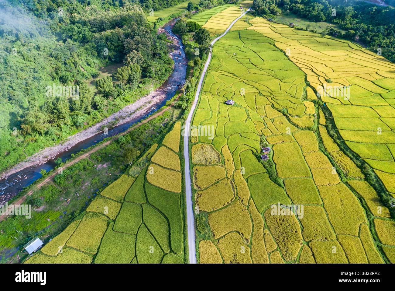 Beautiful aerial view of rice paddy field in Bo Kluea District Small ...