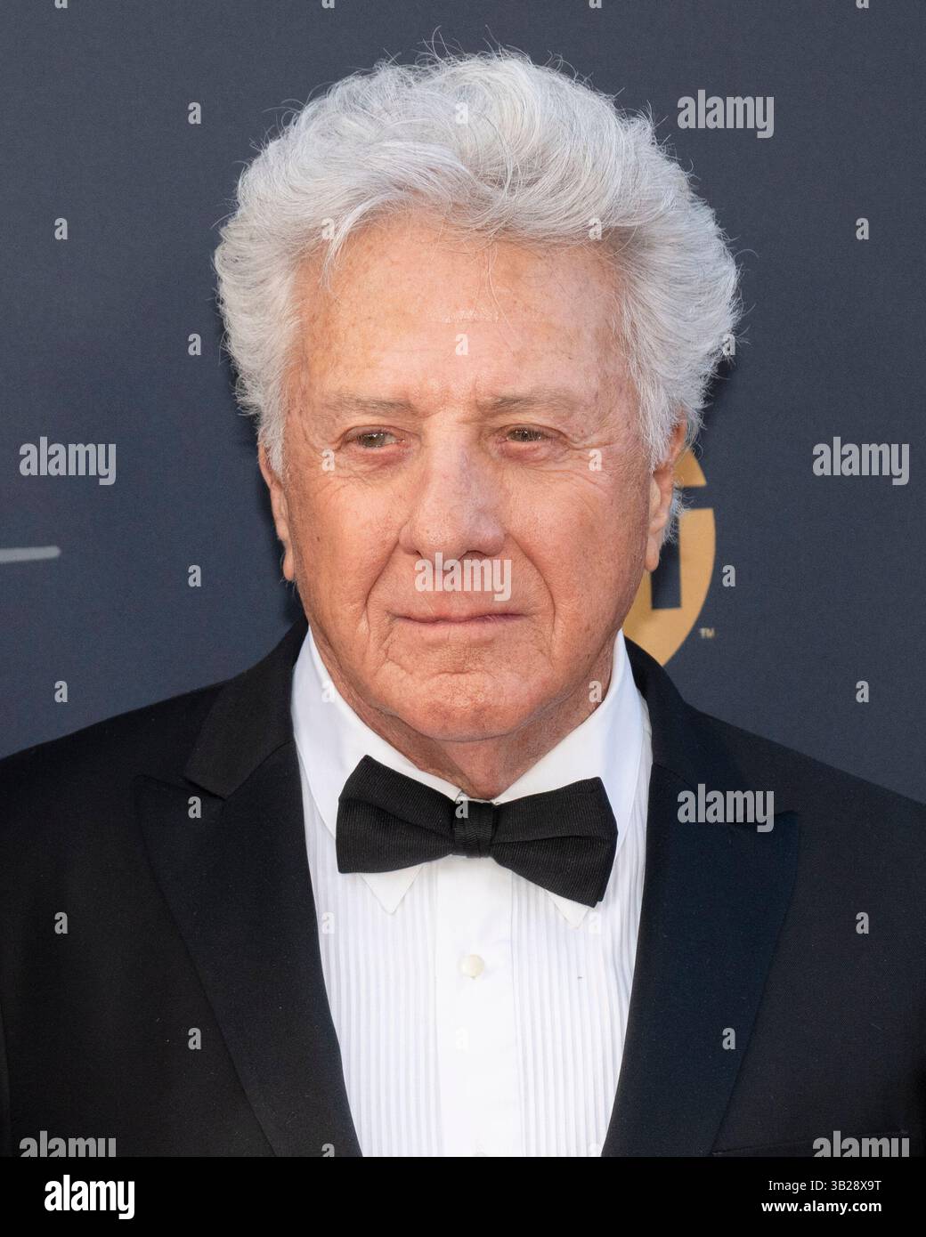 26 April 2025 - Hollywood, California - Dustin Hoffman. AFI Life Achievement Award Ceremony ...