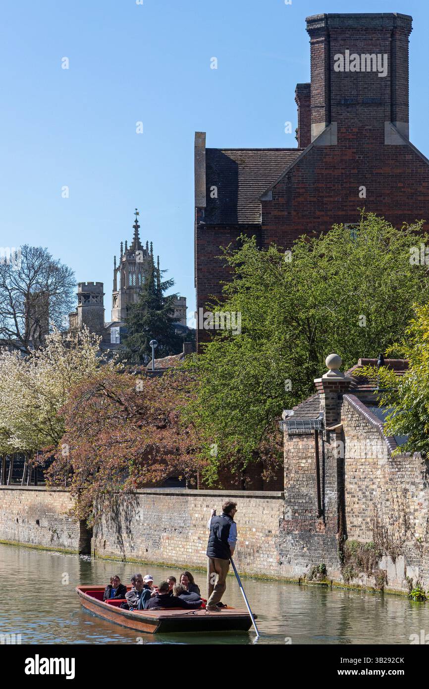 Punting, River Cam, Cambridge, England, Great Britain Stock Photo - Alamy