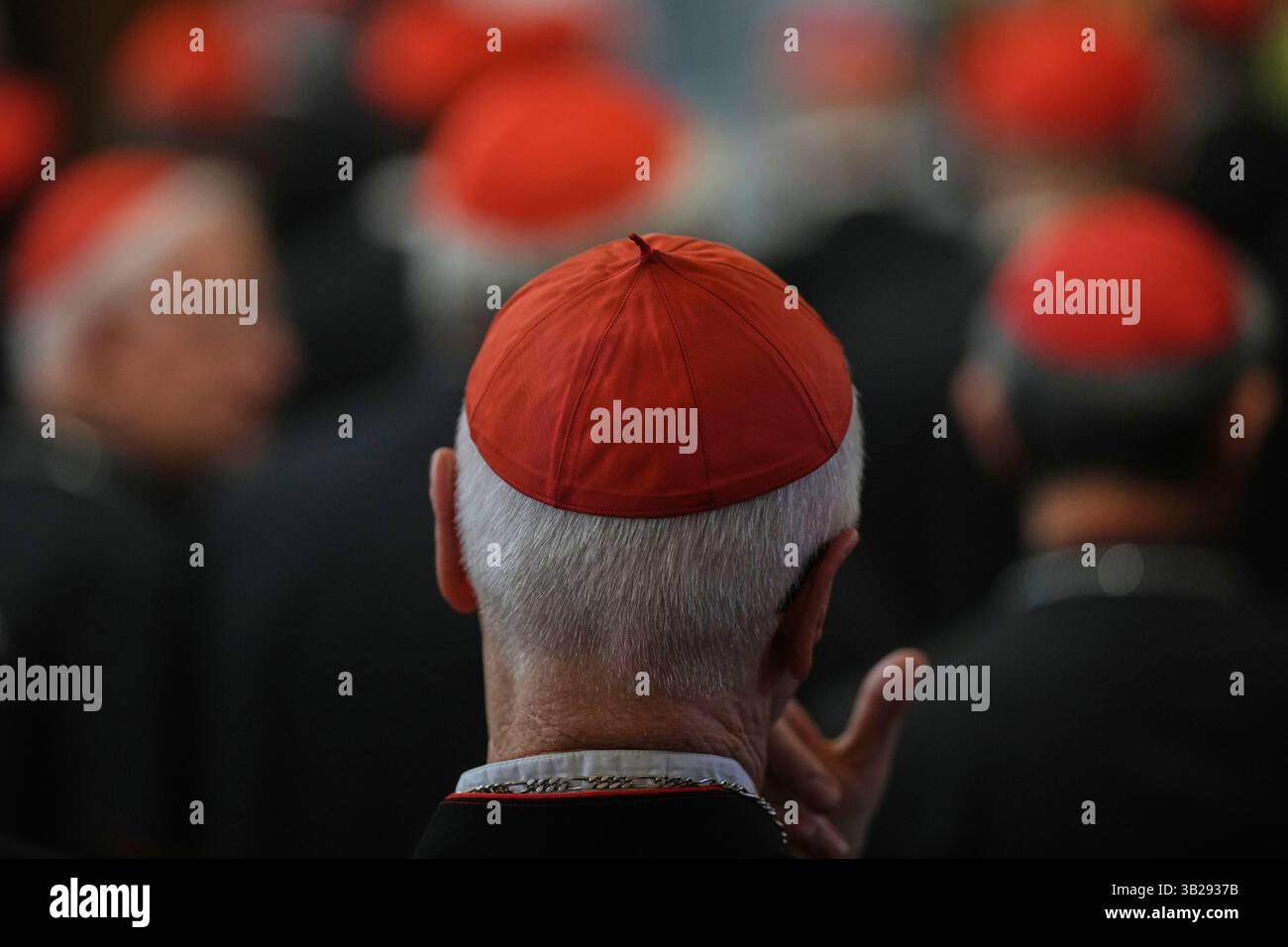 Cardinals sit inside St. Mary Major Basilica ,in Rome, Sunday, April 27 ...