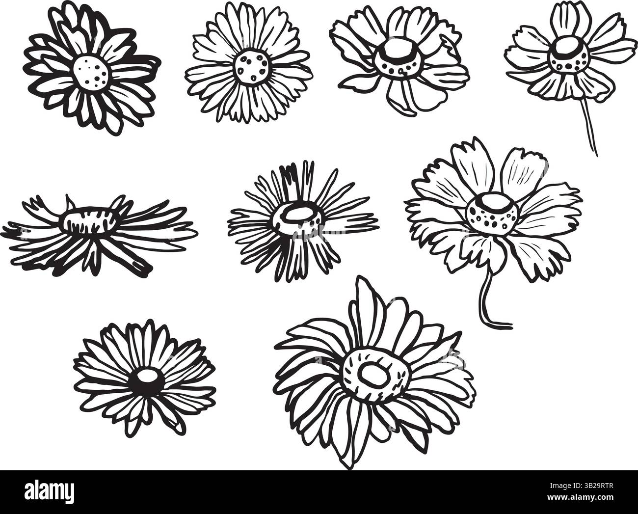 Black outline flower group Black and White Stock Photos & Images - Alamy