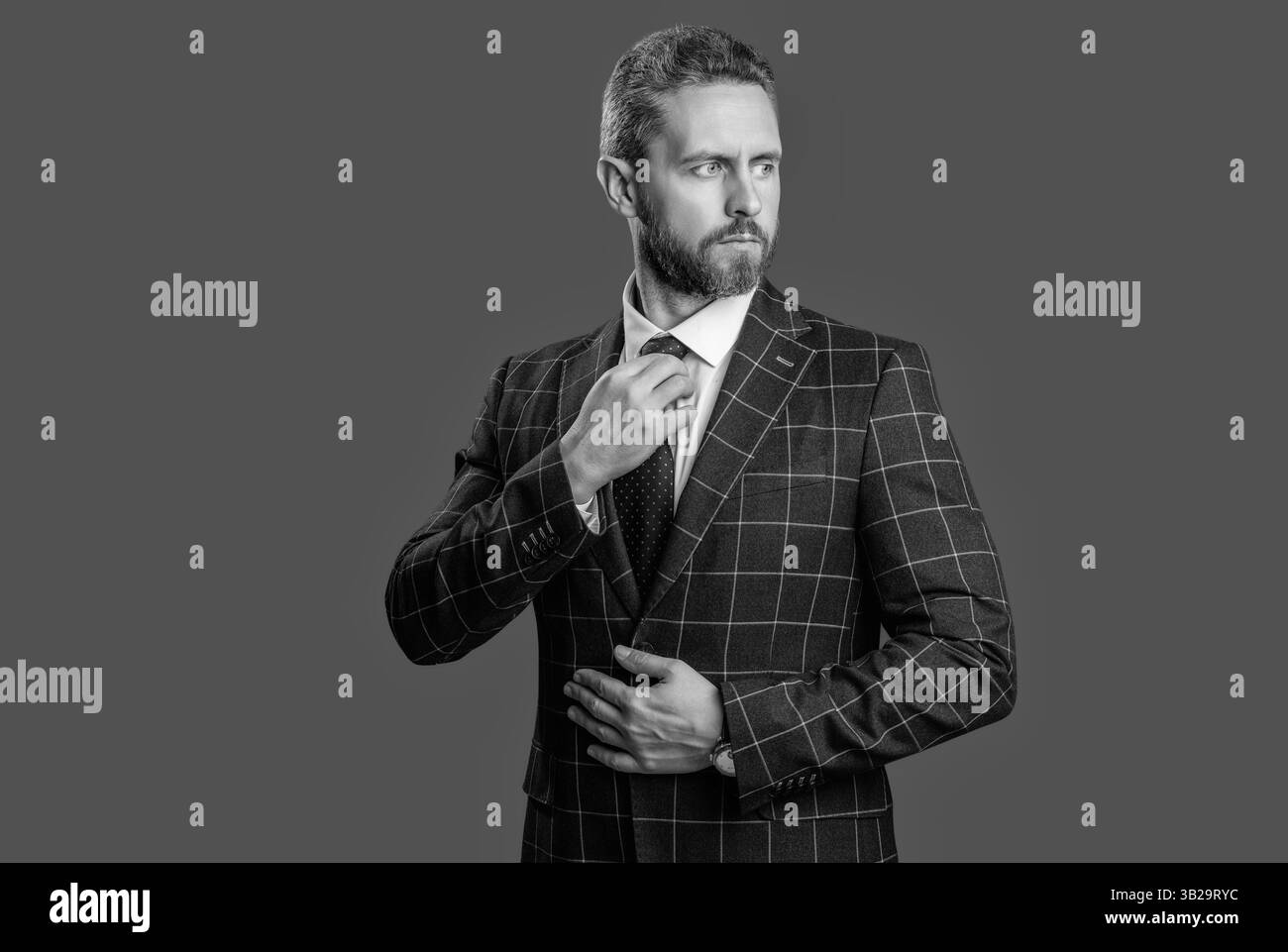 Mature businessman. Business boss portrait of business man. Successful ...