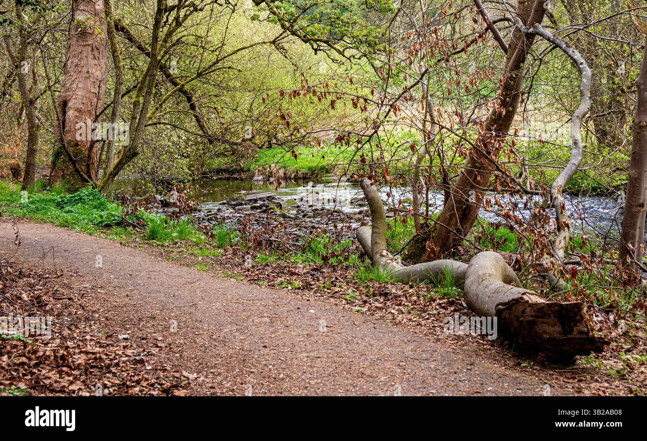 Dundee, Tayside, Scotland, UK. 27th Apr, 2025. UK Weather: Overcast ...