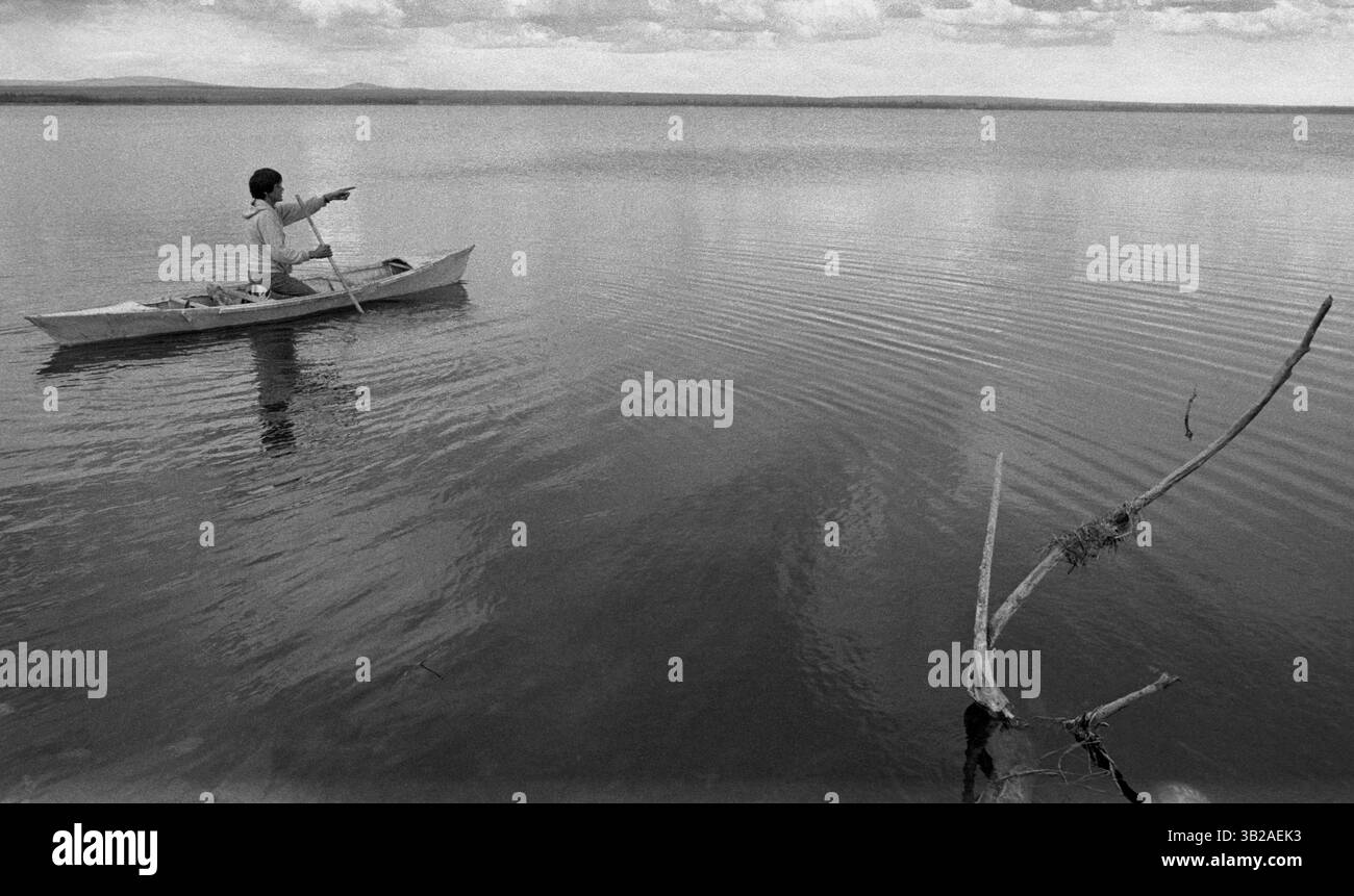 Carabou Black and White Stock Photos & Images - Alamy
