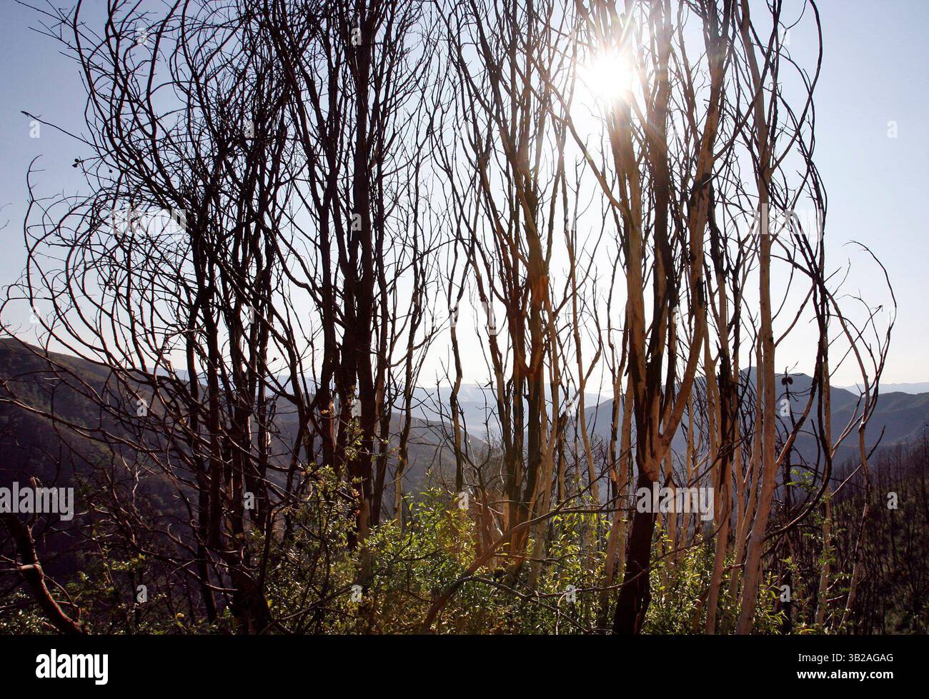 Tassajara fire hi-res stock photography and images - Alamy