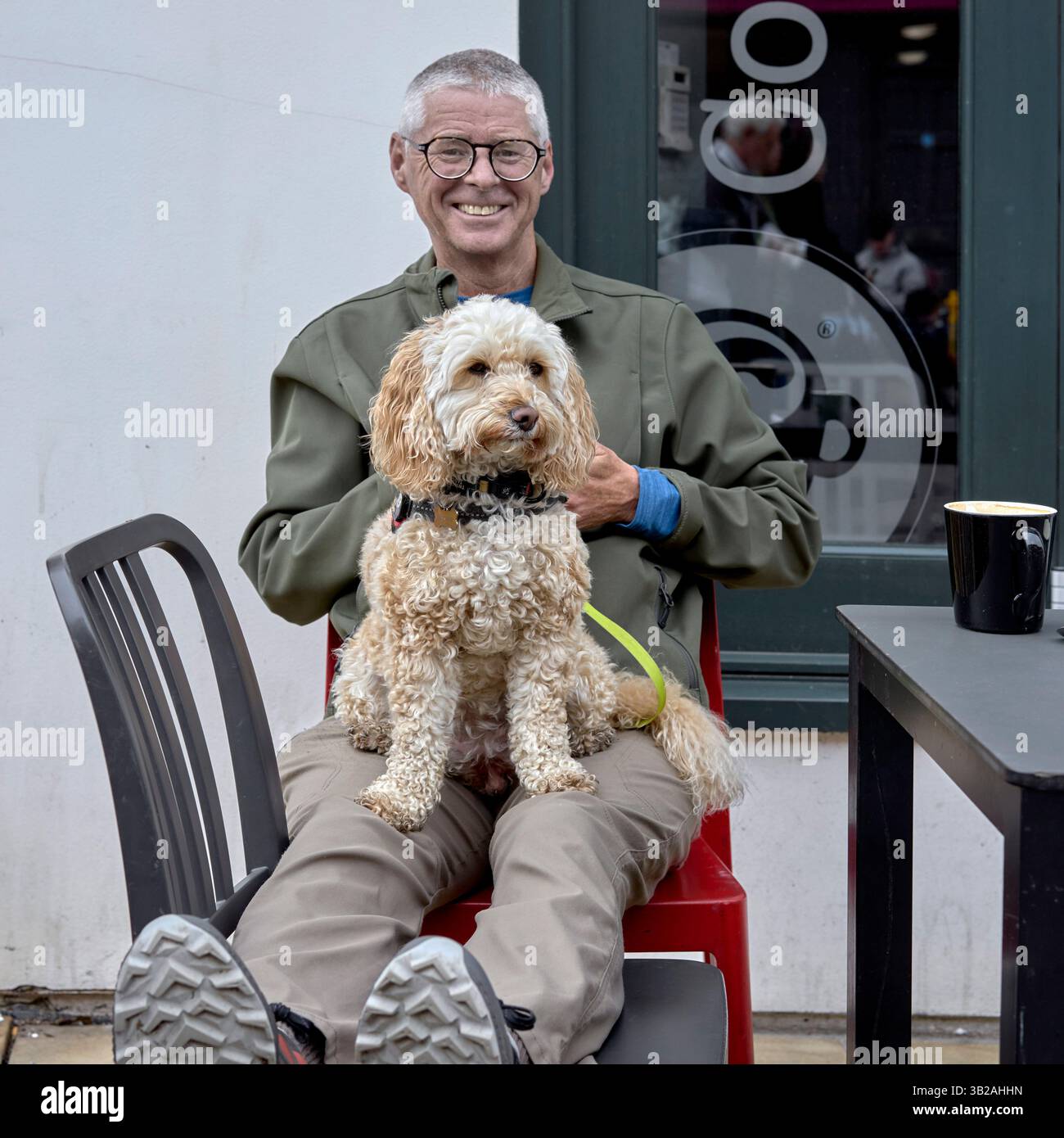Cockapoo dog and owner relaxing at pavement coffee shop, Stratford upon ...