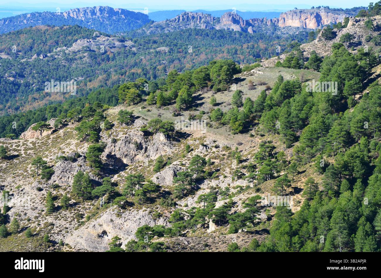 Sierra de Segura in south-eastern Spain, a mosaic of European biomes ...