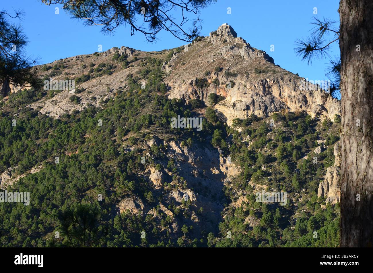 Sierra de Segura in south-eastern Spain, a mosaic of European biomes ...