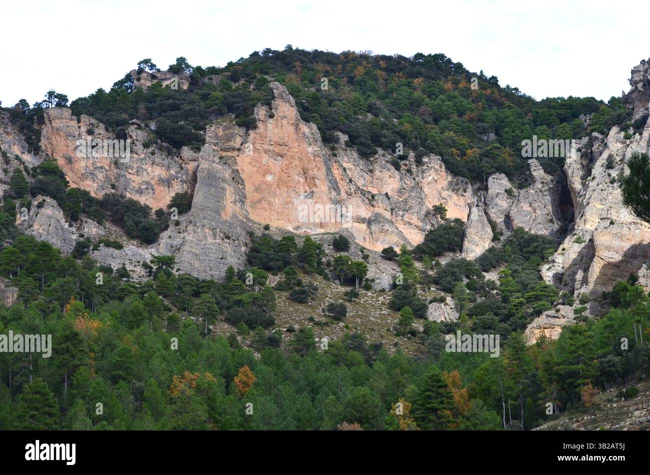 Sierra de Segura in south-eastern Spain, a mosaic of European biomes ...