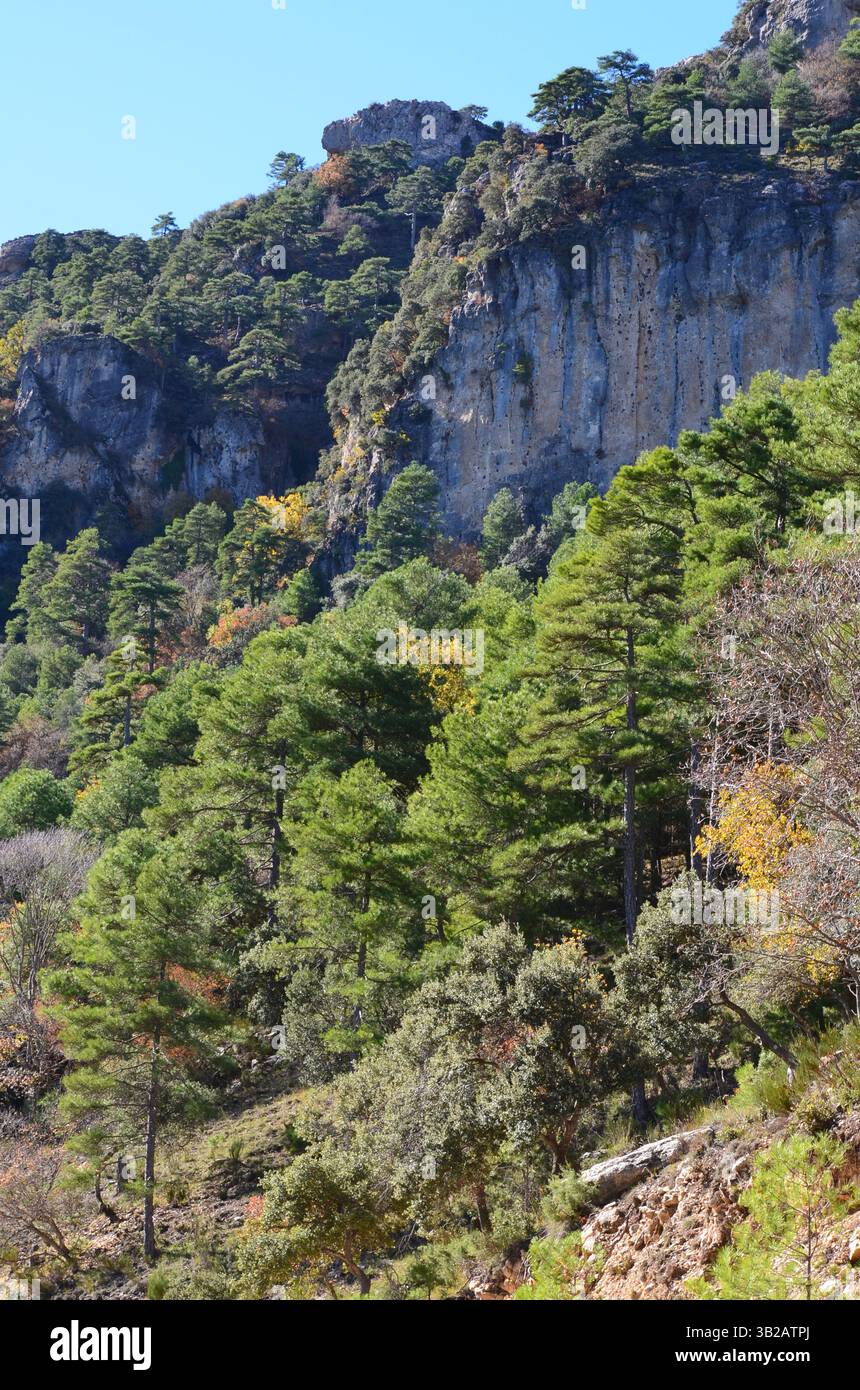 Sierra de Segura in south-eastern Spain, a mosaic of European biomes ...