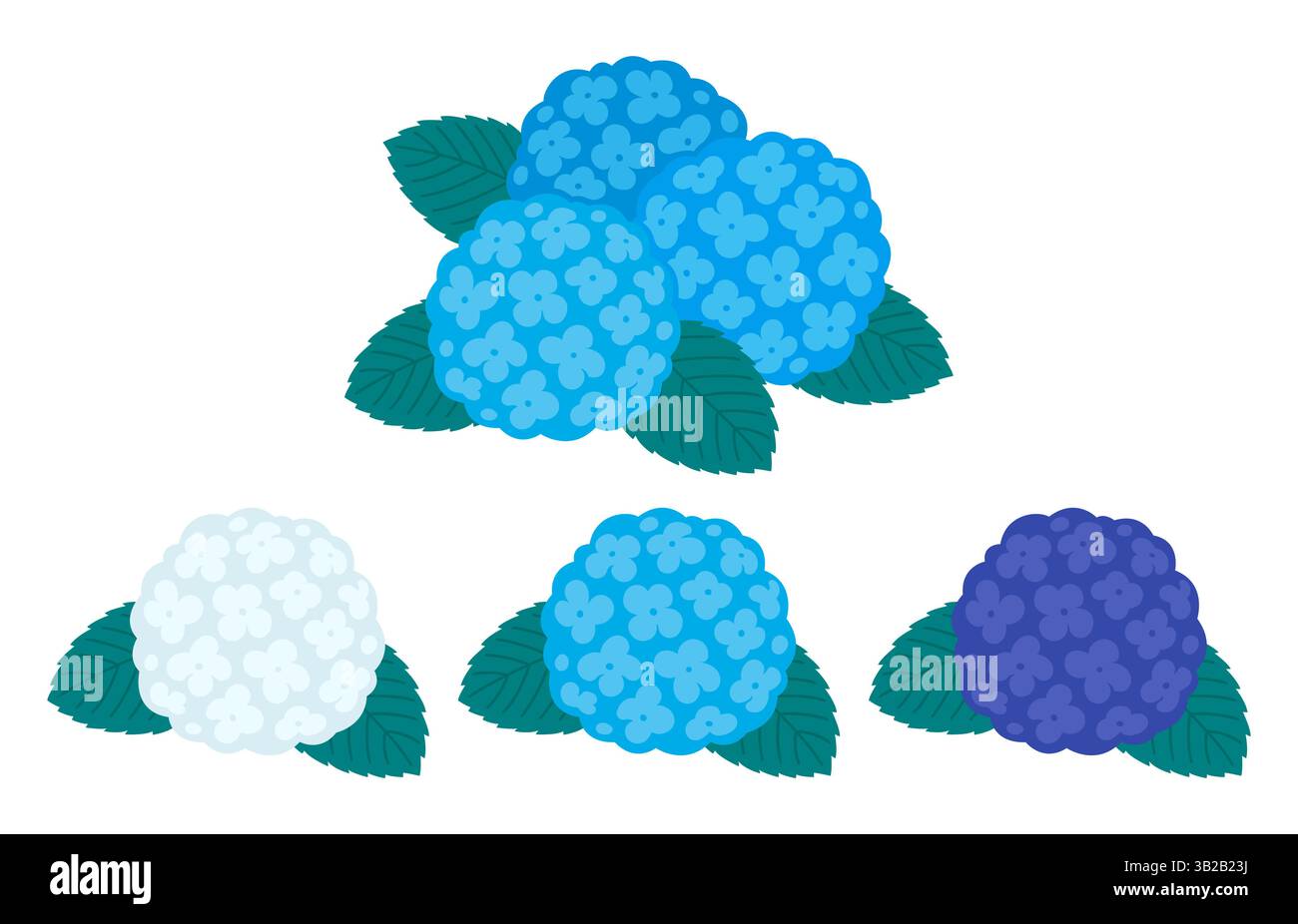 Hydrangea flower set in simple flat cartoon style. White, light blue ...