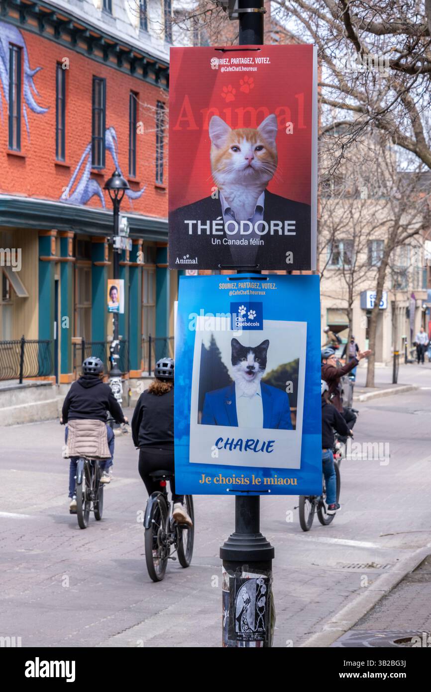 Montreal, Canada - April 27, 2025: parody election signs by Cat Cafe ...