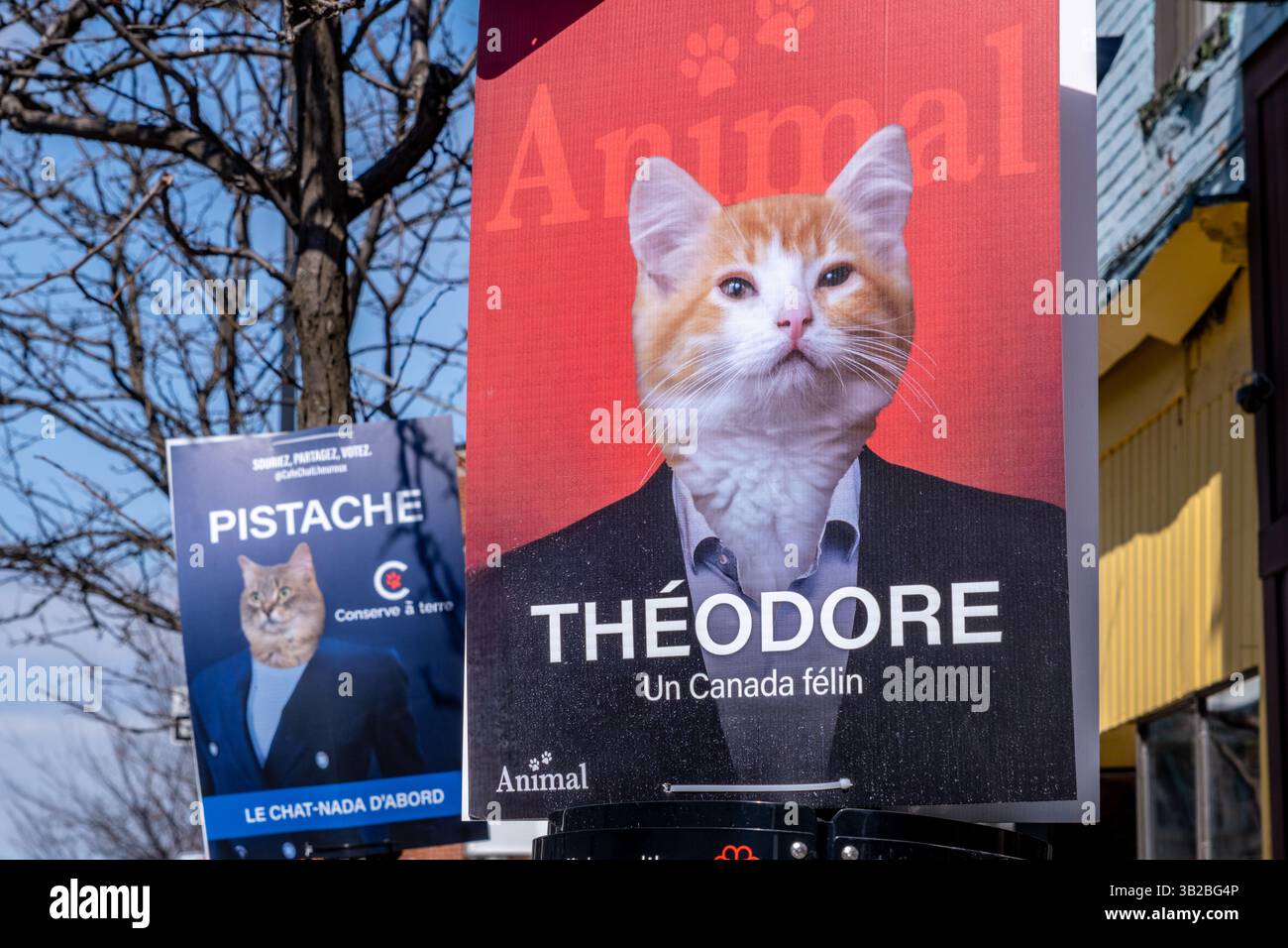 Montreal, Canada - April 27, 2025: parody election signs by Cat Cafe ...