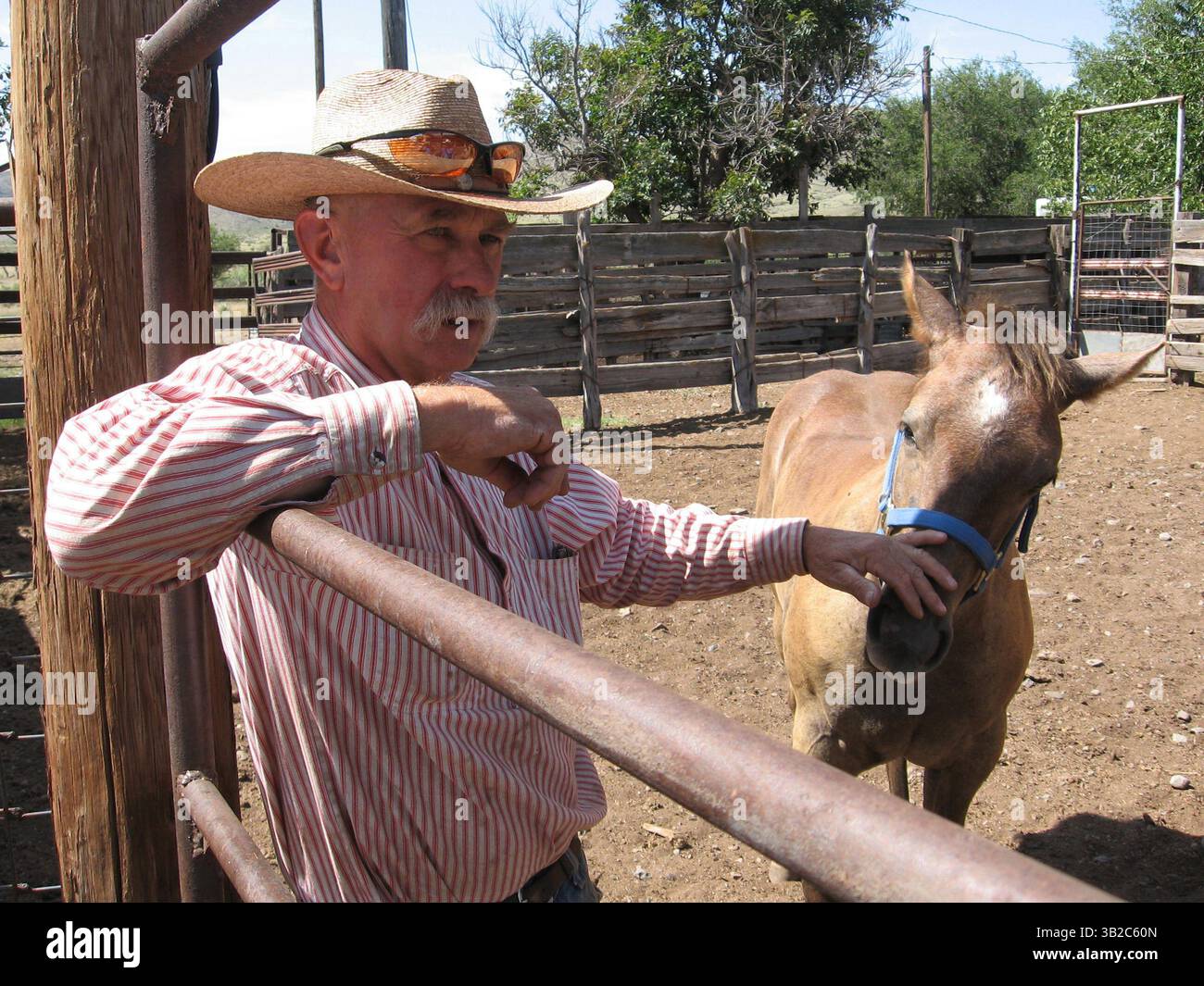 Bill Miller worked various professions before returning home to help ...