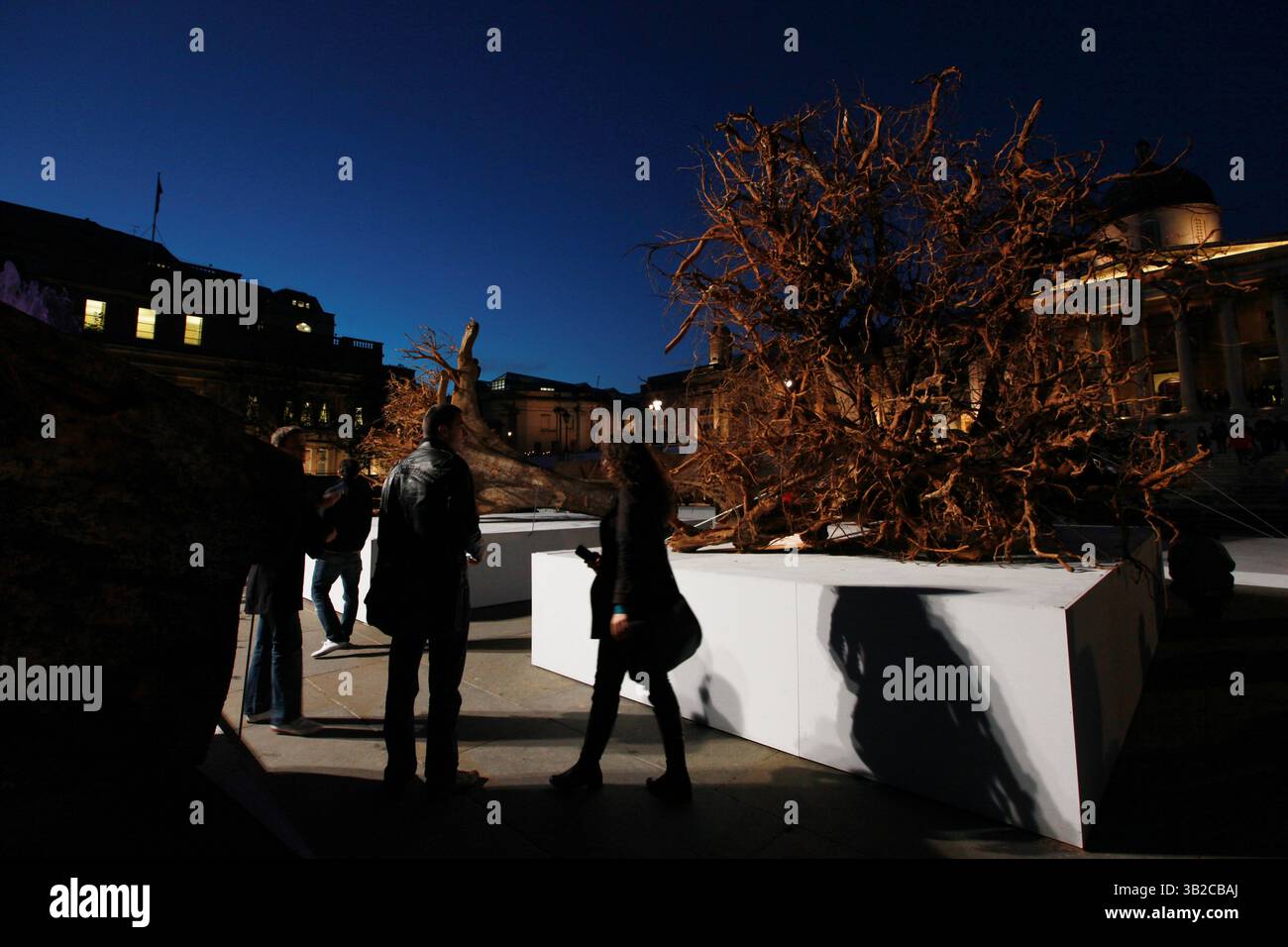 Nov 18, 2009 - London, England, United Kingdom - Ghost Forest, by ...