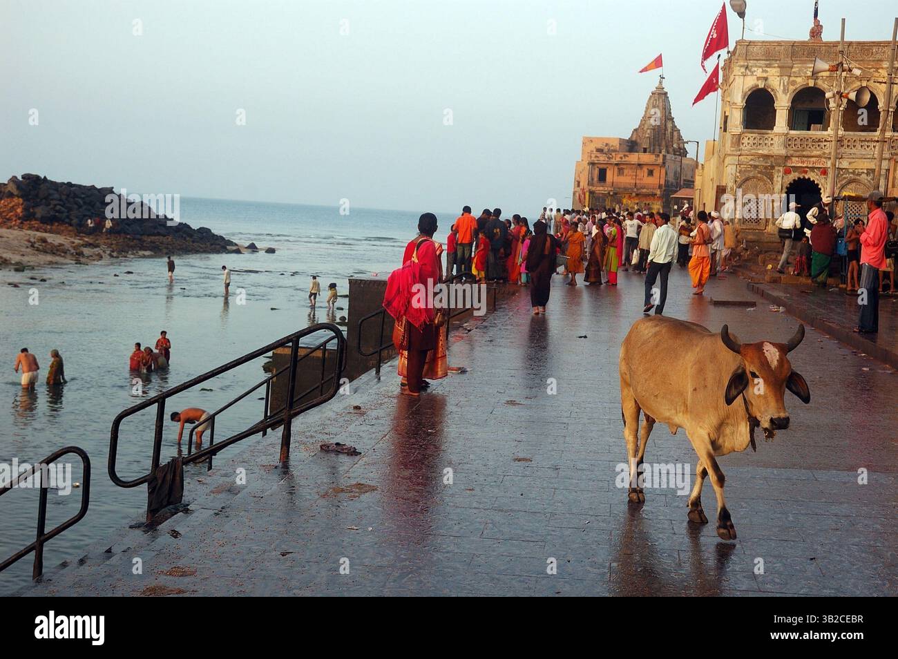 Dec 01, 2009 - Dwarka, Gujarat, India - Dwaraka temple, situated in ...