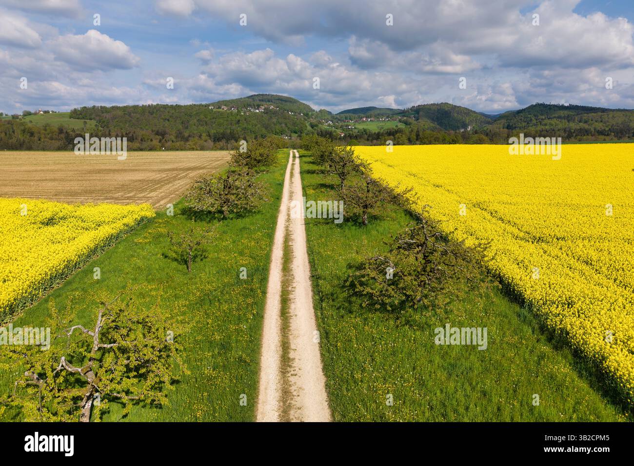 Switzerland, Laufental, Brislach, Baselland, Baselbiet, Brislach BL ...