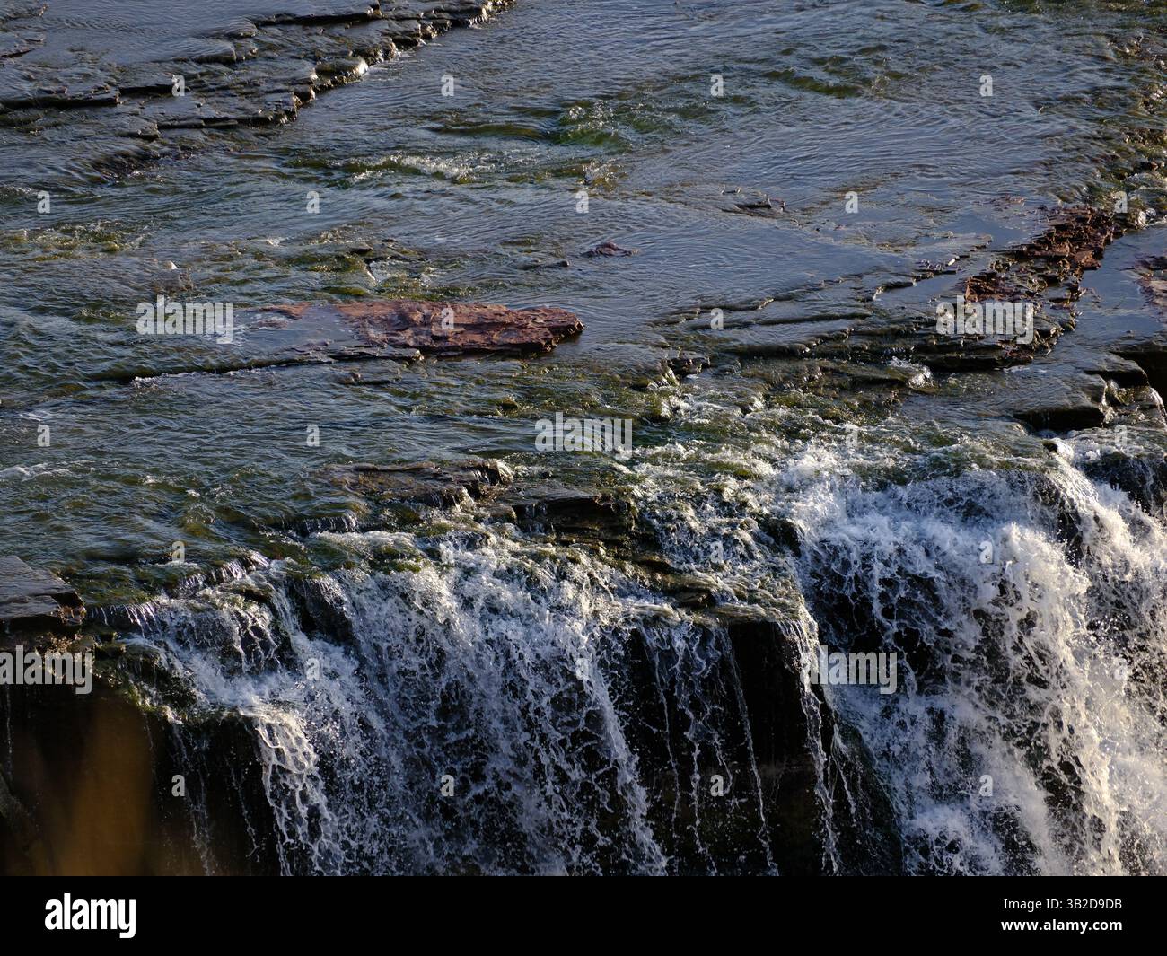 Slow motion close up motion hi-res stock photography and images - Alamy