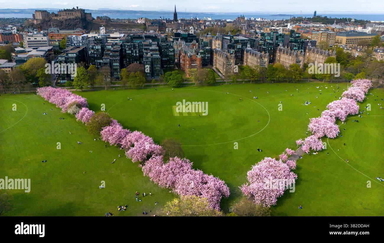 Cherry blossom in The Meadows, Edinburgh. Picture date: Sunday April 27 ...