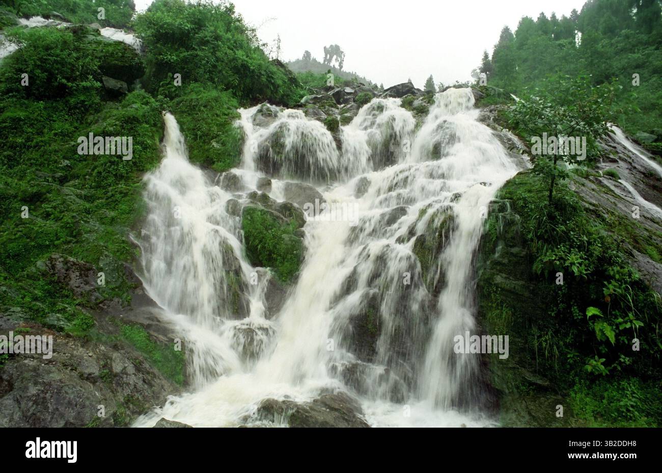 Visit east sikkim hi-res stock photography and images - Alamy