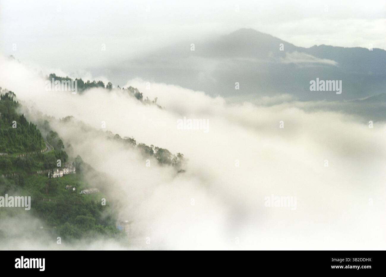 Dec 14, 2009 - Gangtok, Sikkim, India - Darjeeling and Gangtok are most ...