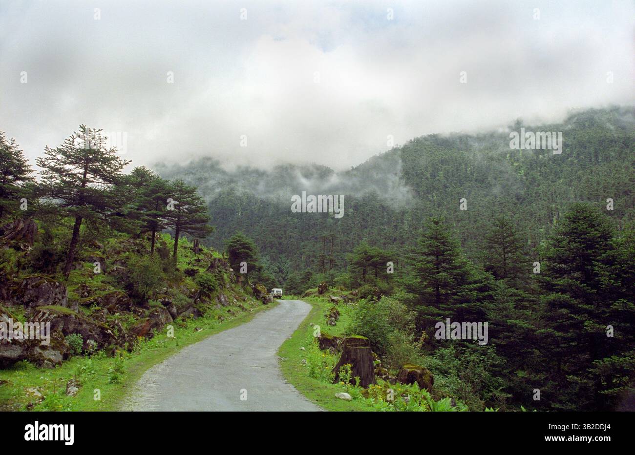 Dec 14, 2009 - Gangtok, Sikkim, India - Darjeeling and Gangtok are most ...