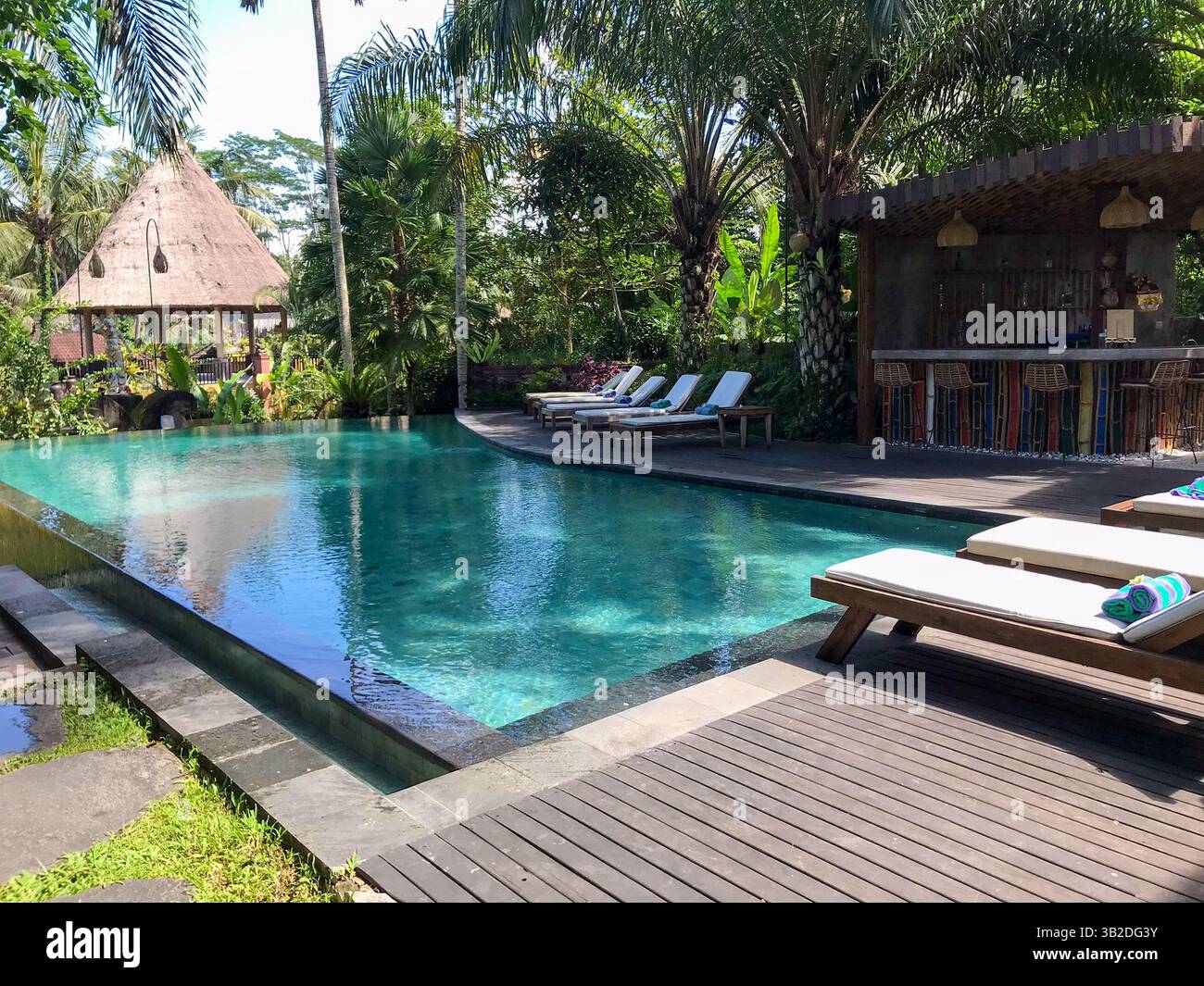 Infinity pool in forest hi-res stock photography and images - Alamy