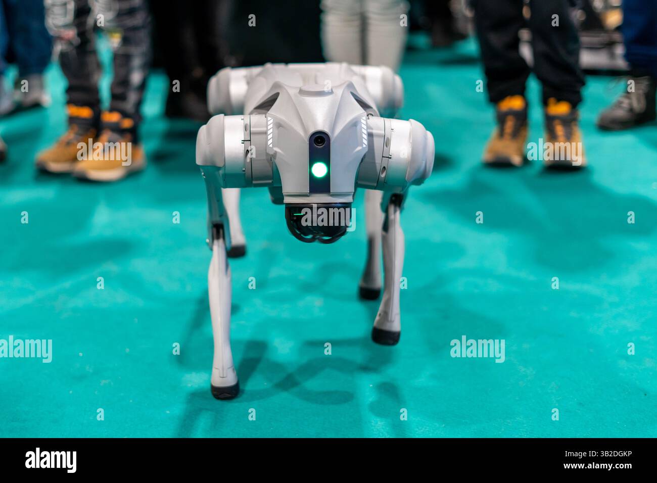 Gray military robot dog at a demonstration with a green background ...