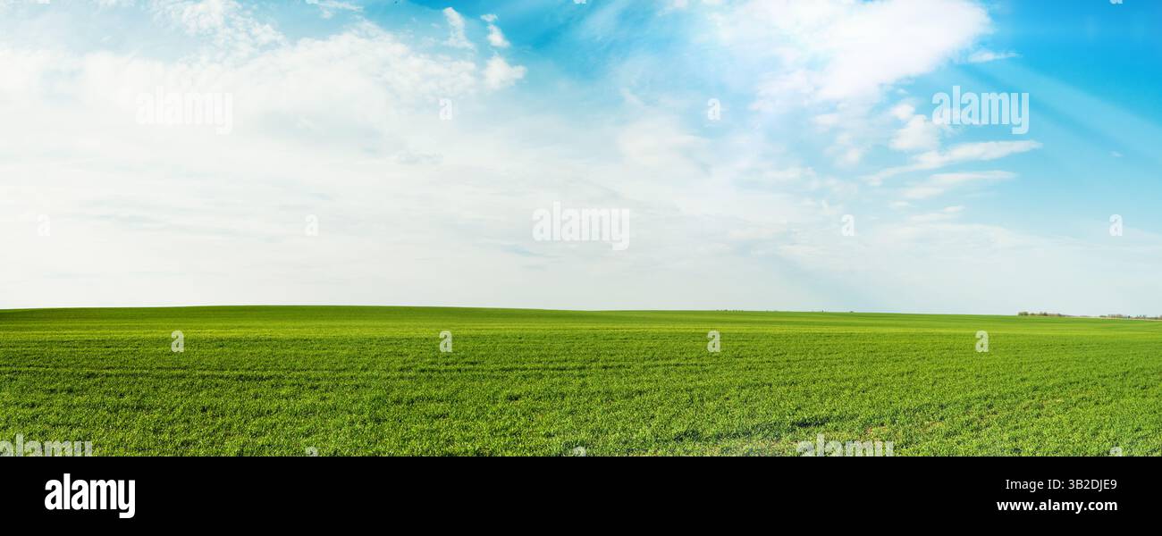 Panoramic natural landscape with green grass field, blue sky with ...