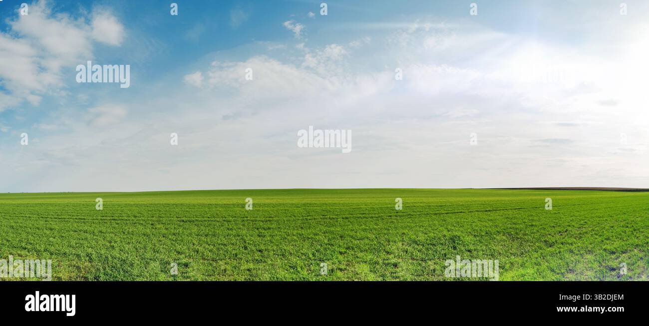 Panoramic natural landscape with green grass field, blue sky with ...