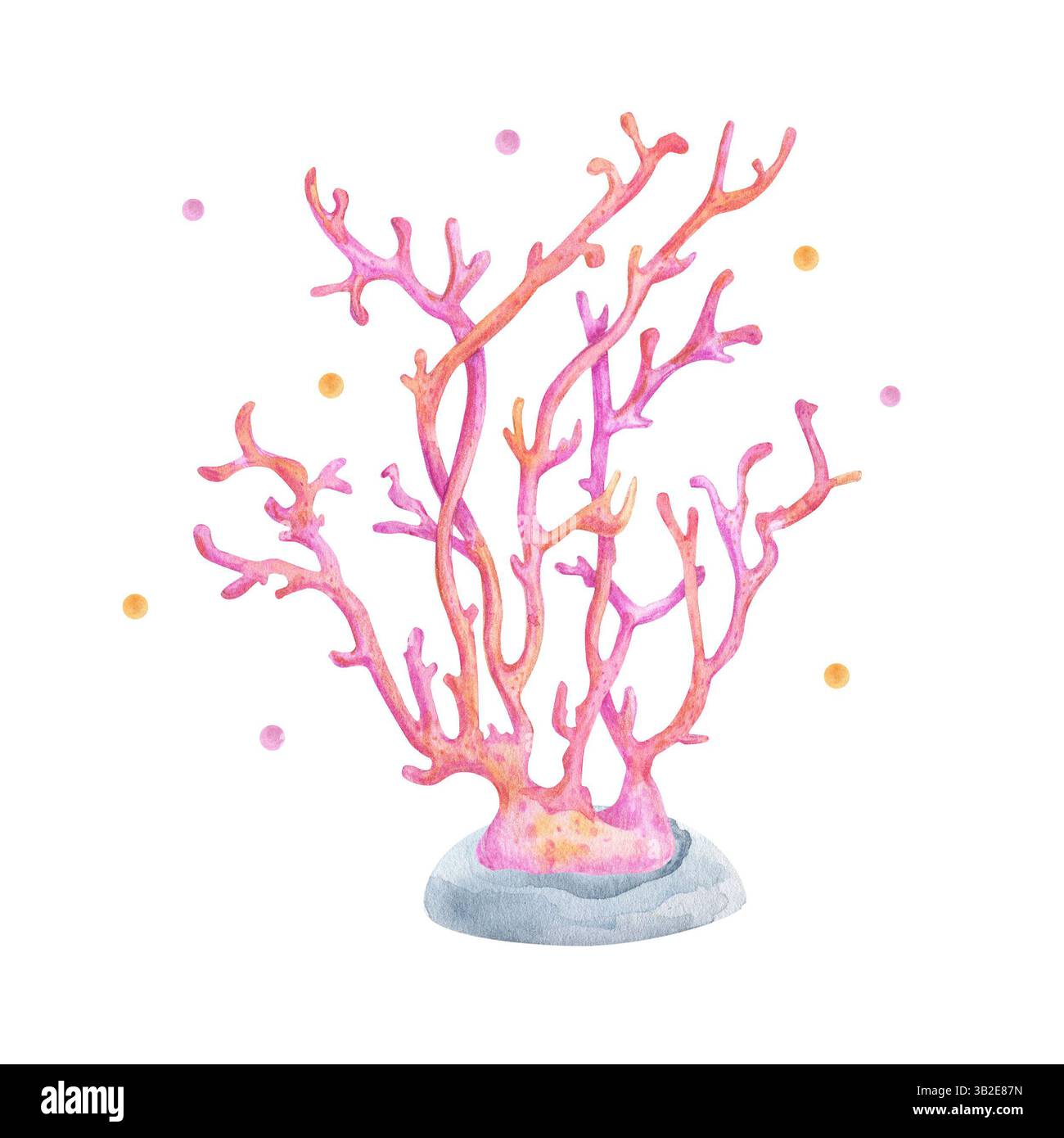 Pink watercolor Ocean Coral branch. Hand drawn realistic Underwater ...