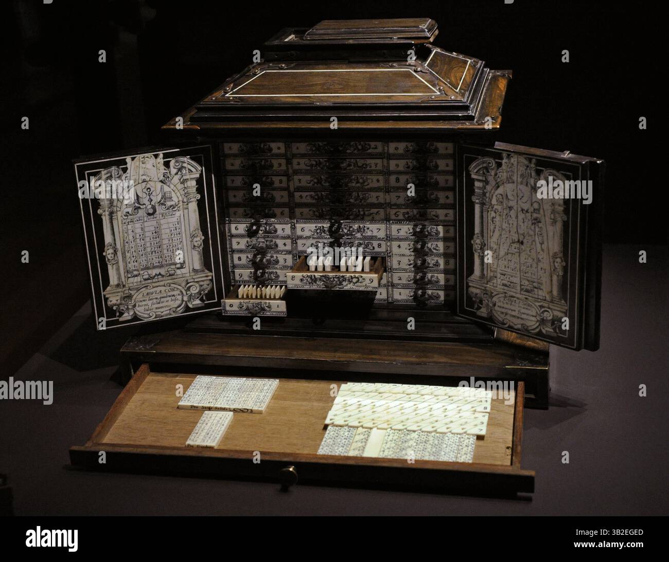 Napiers bones hi-res stock photography and images - Alamy