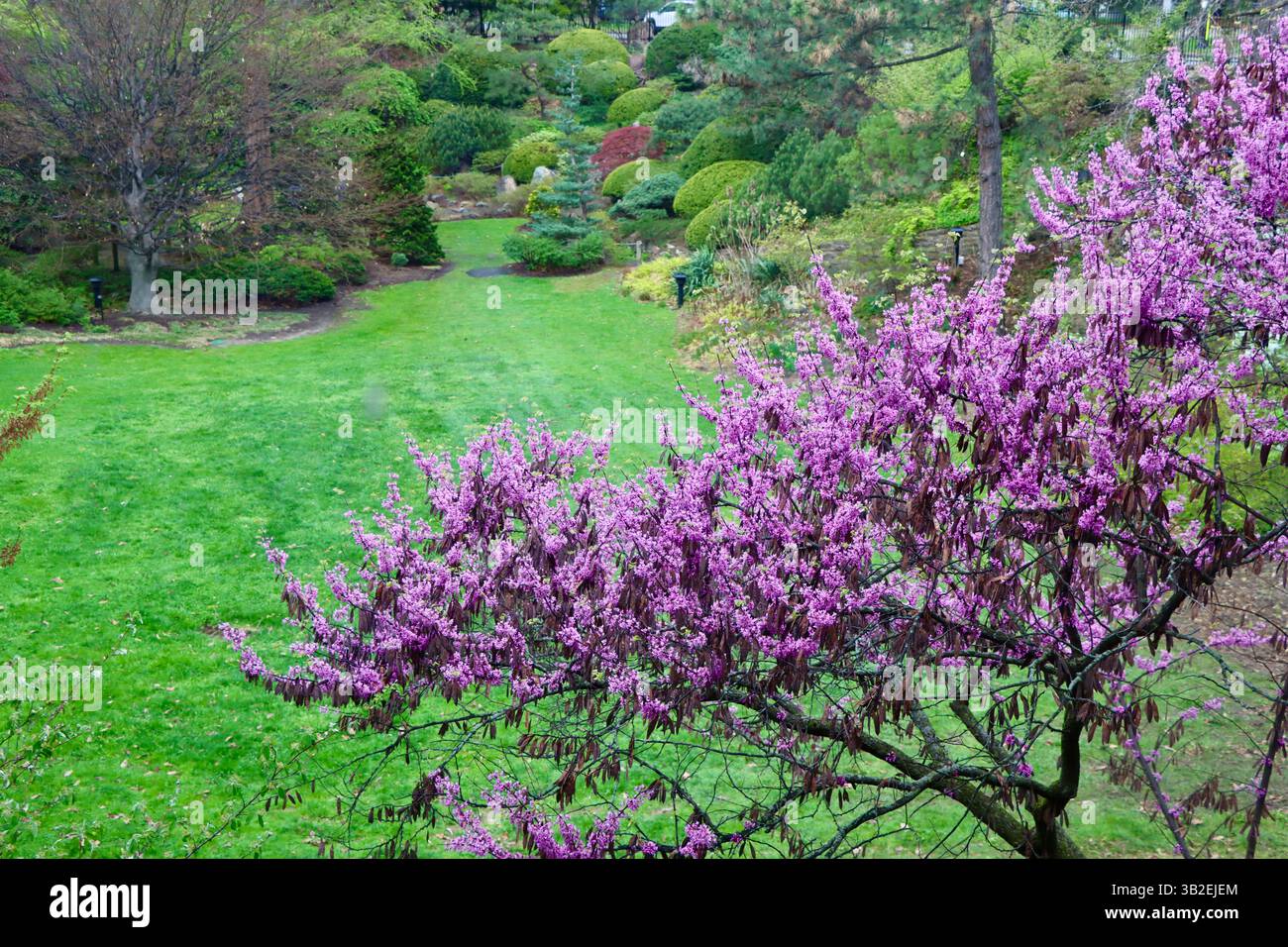 Arbor day hi-res stock photography and images - Alamy
