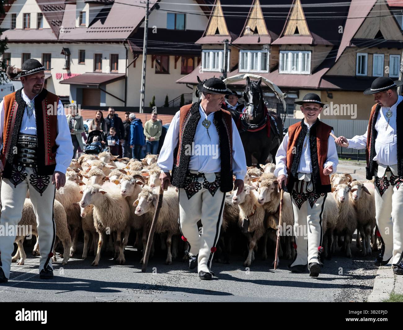 Highlander shepherds start Redyk as grazing season begins with ...