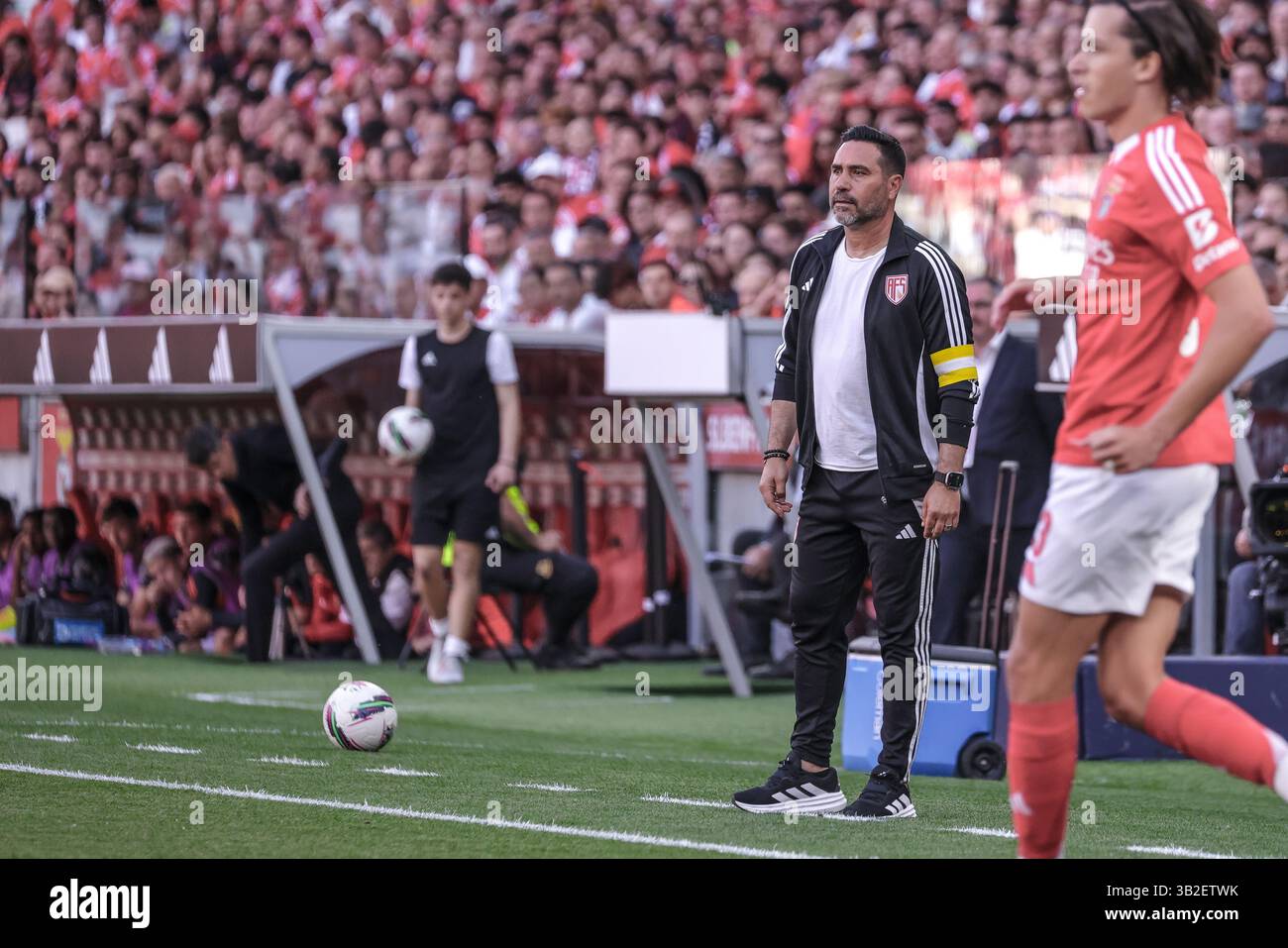LISBON (PT), 27/04/2025 - Benfica faces AVS - Futebol SAD, BETCLIC ...
