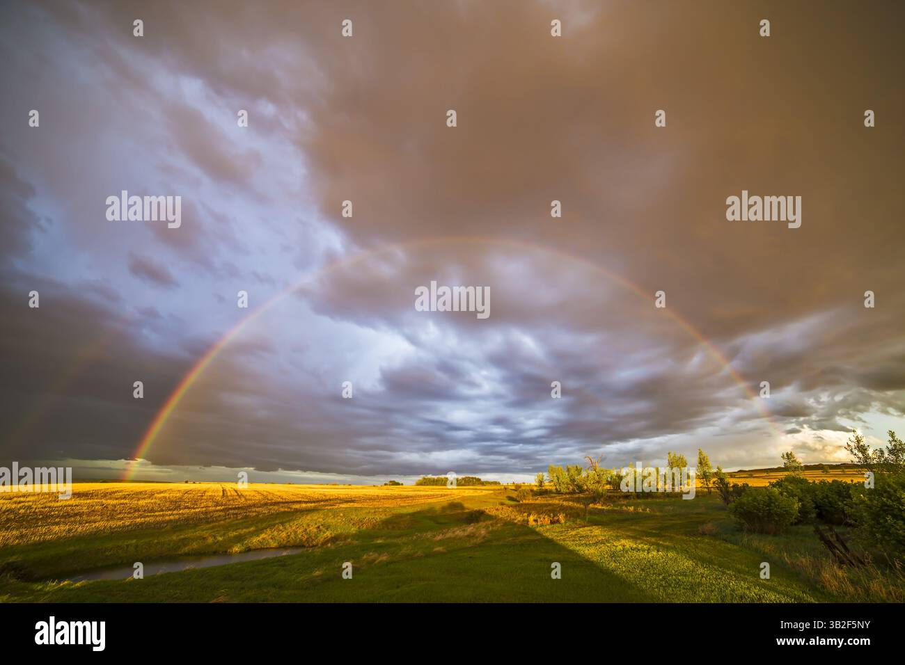 Hom bow hi-res stock photography and images - Alamy