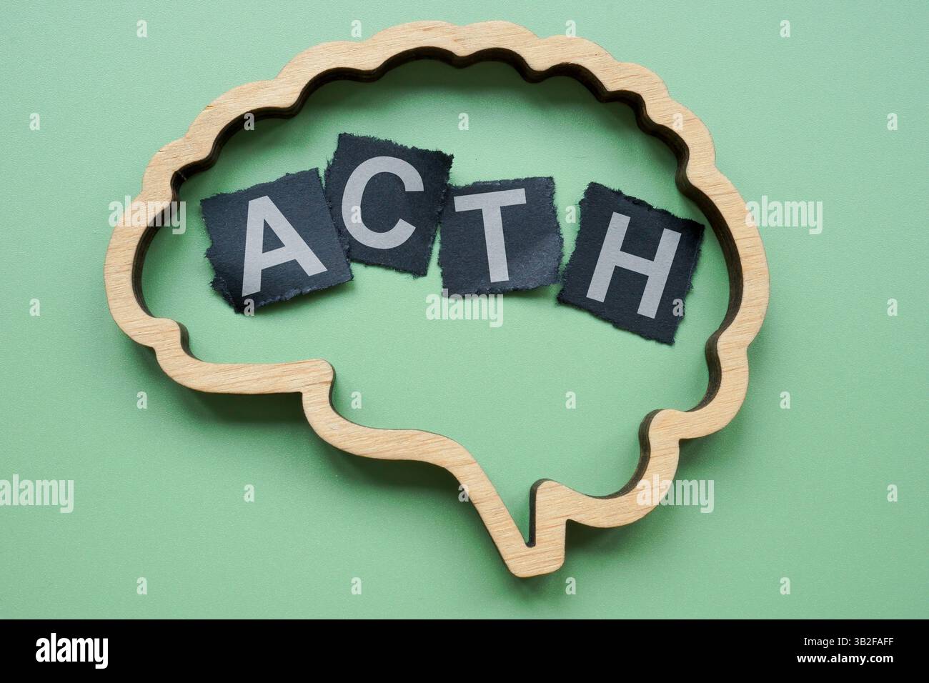 Brain and adrenocorticotropic hormone ACTH. Stress response Stock Photo ...