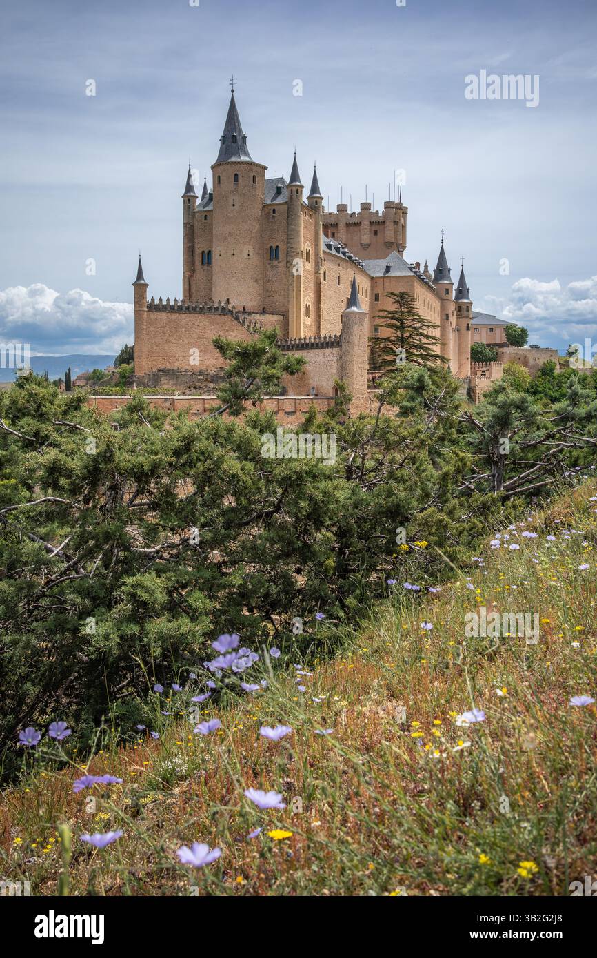 Vertical Scenery of Alcazar of Segovia from Outdoor Viewpoint. Medieval ...