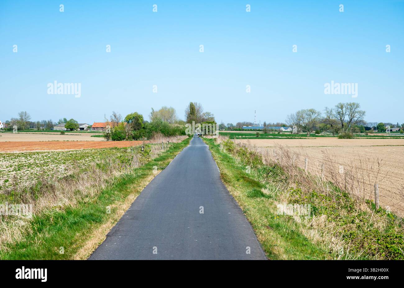 Asphalt cycling road through agriculture fields at the Flemish ...